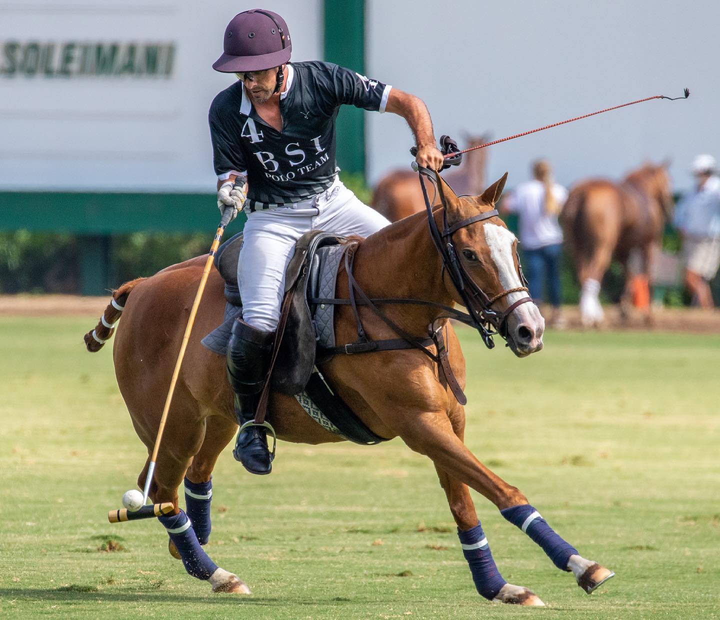 Polo Player Favorites | Top Rated Gear - Jackson Hole Horse Emporium