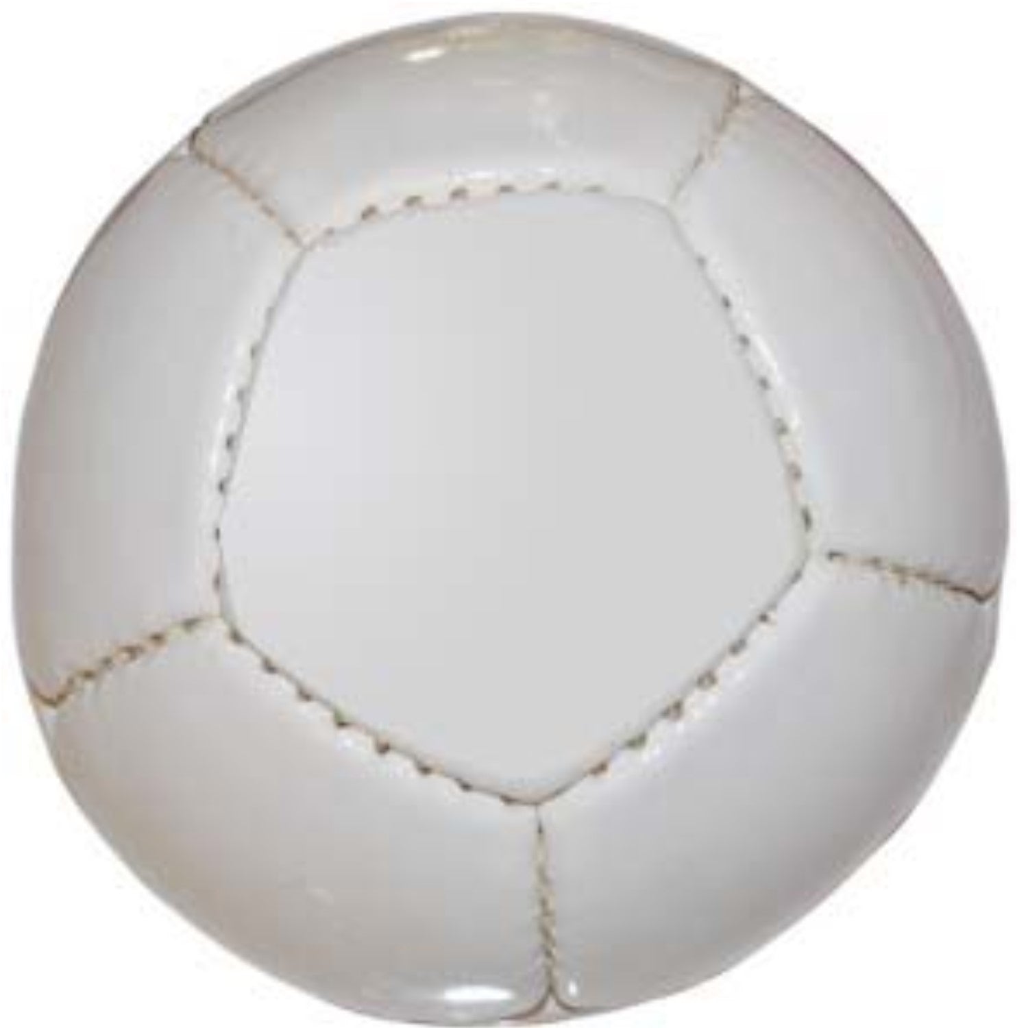 Arena Polo Ball | Durable & High-Performance for Competitive Play ...